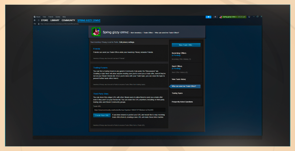 Cómo Enviar una Oferta de Intercambio en Steam a un No-Amigo